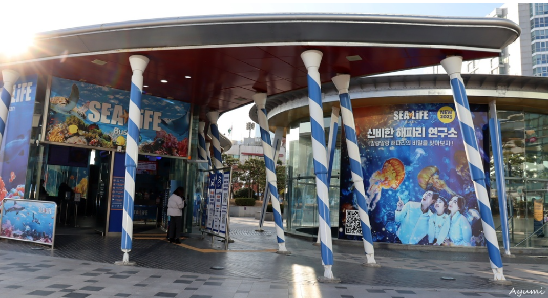 [2024年釜山行]SEA LIFE부산아쿠아리움/精彩的美人魚秀/釜山海雲台散步拍照/大小朋友一起同樂 - ToursCombine